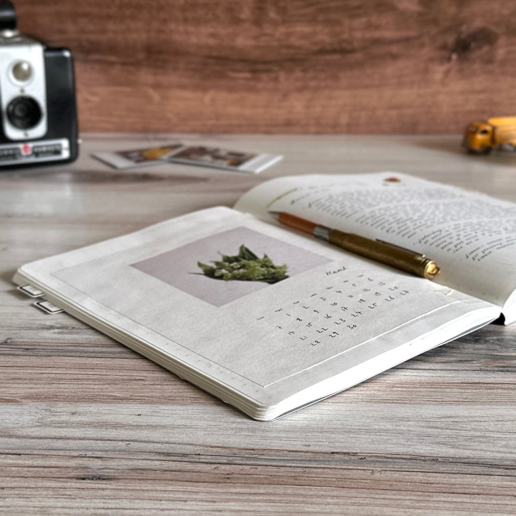 [Stalogy Notebook] 1/2 Year 2023 LIMITED (A5) – Baum-kuchen