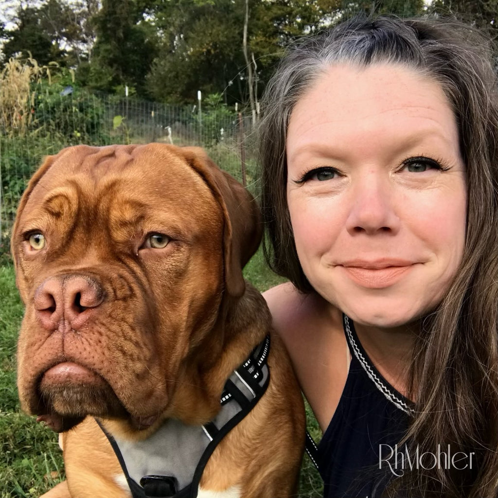 NOTEBOOK PEOPLE: An Interview with Rachel Mohler by Trina O’Gorman – Baum-kuchen