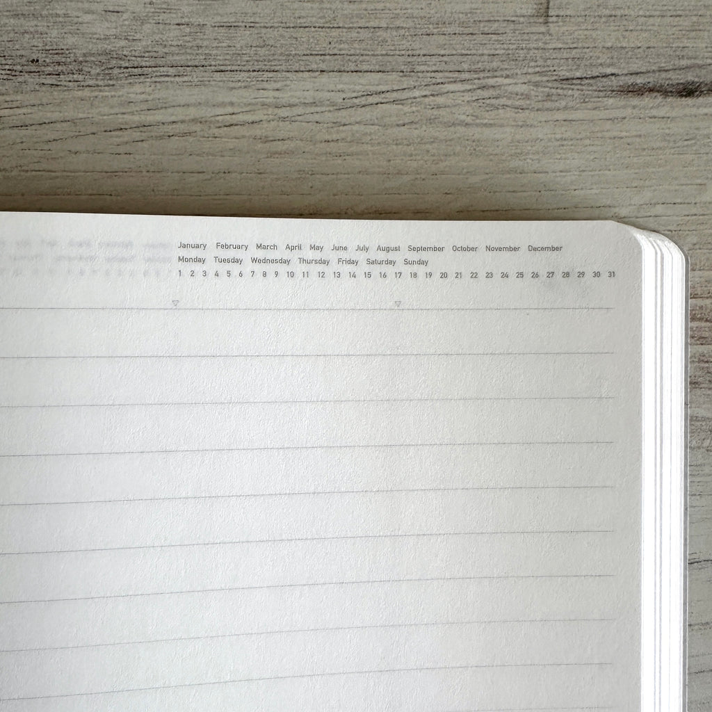 [Stalogy Notebook] 365 Days "LINE" (A5) – Baum-kuchen