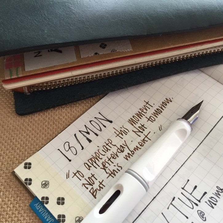 [Lamy Fountain Pen] Safari "White" – Baum-kuchen