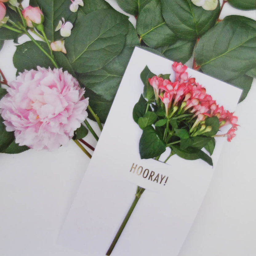 [Tokketok] Flower Notes – Baum-kuchen