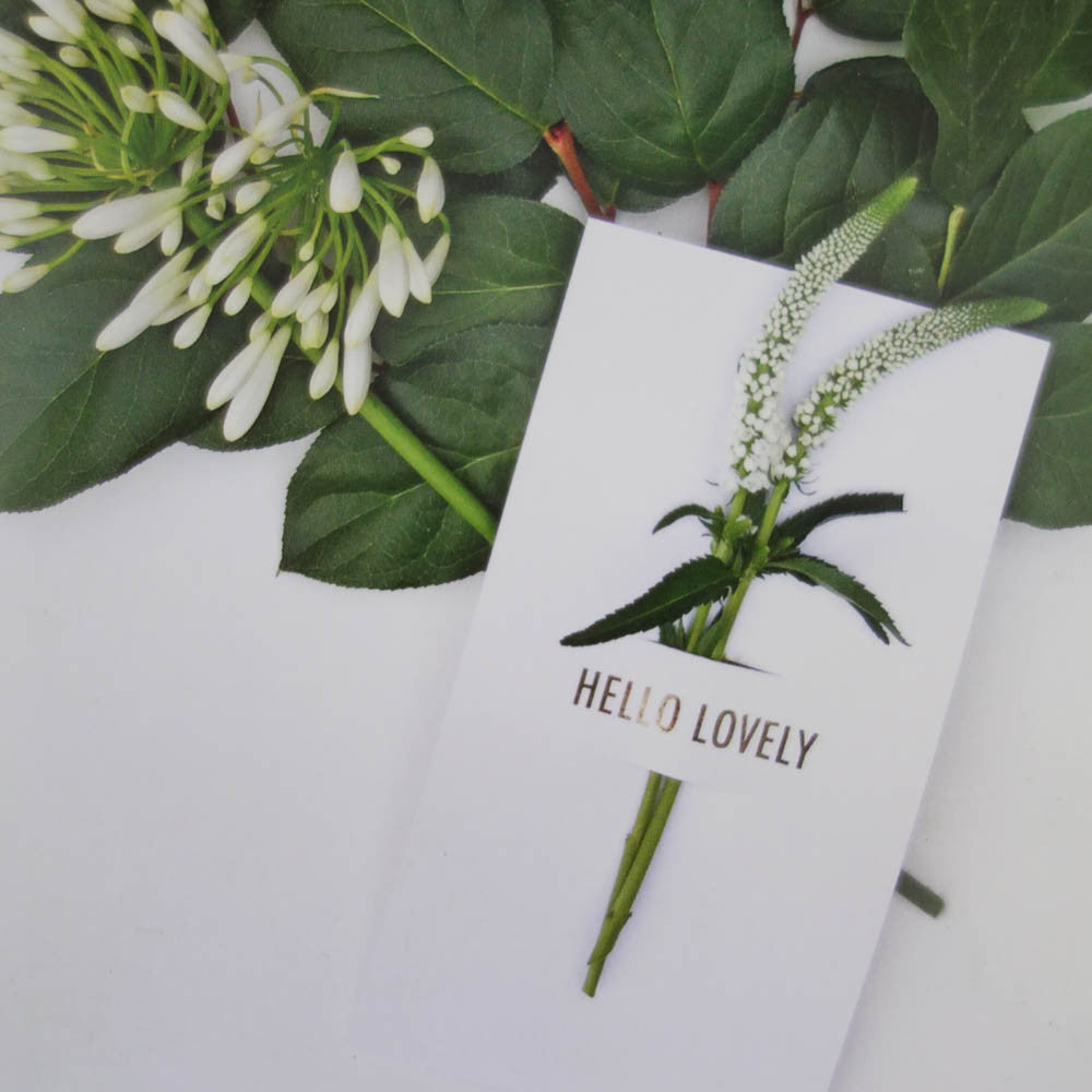 [Tokketok] Flower Notes – Baum-kuchen