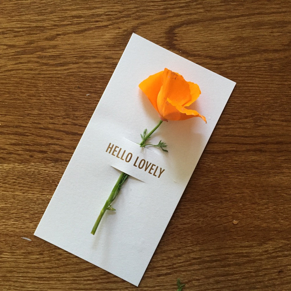 [Tokketok] Flower Notes – Baum-kuchen